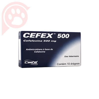 CEFEX 500MG